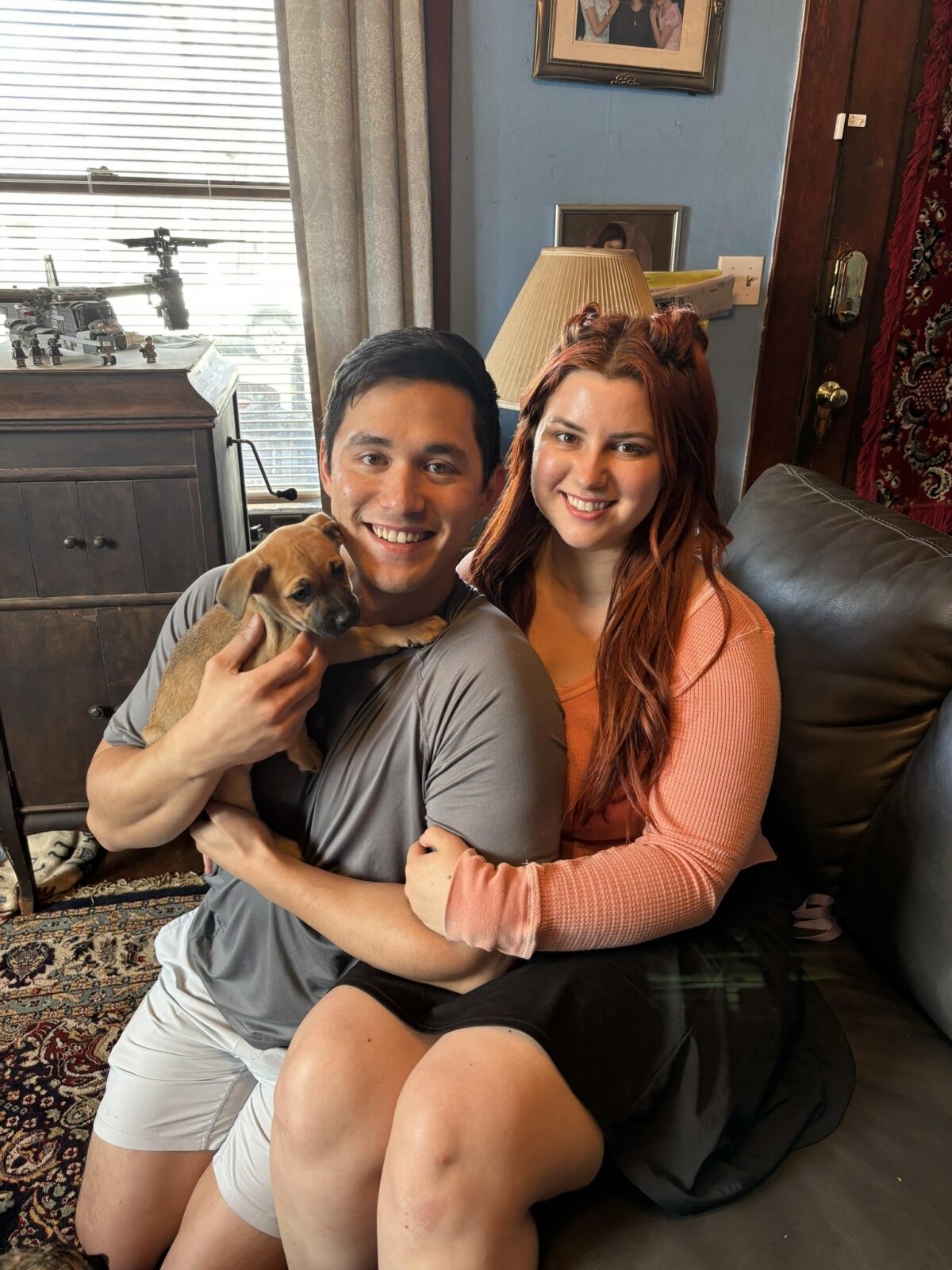 Fuzz Ball Animal Rescue – Rescue the mistreated, Save the injured, Love ...