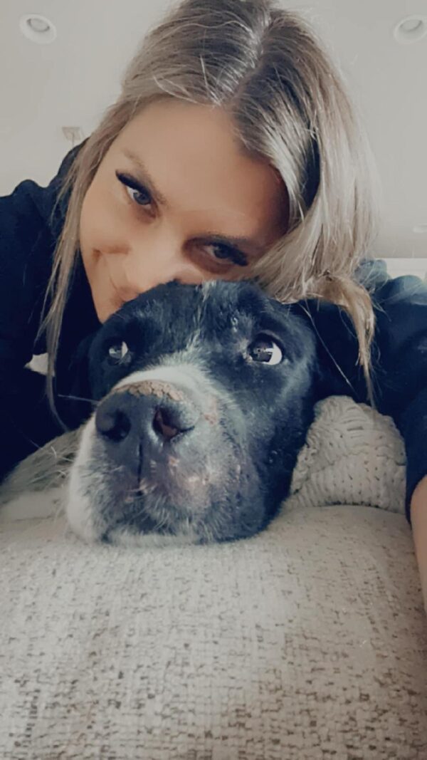 Fuzz Ball Animal Rescue – Rescue the mistreated, Save the injured, Love ...