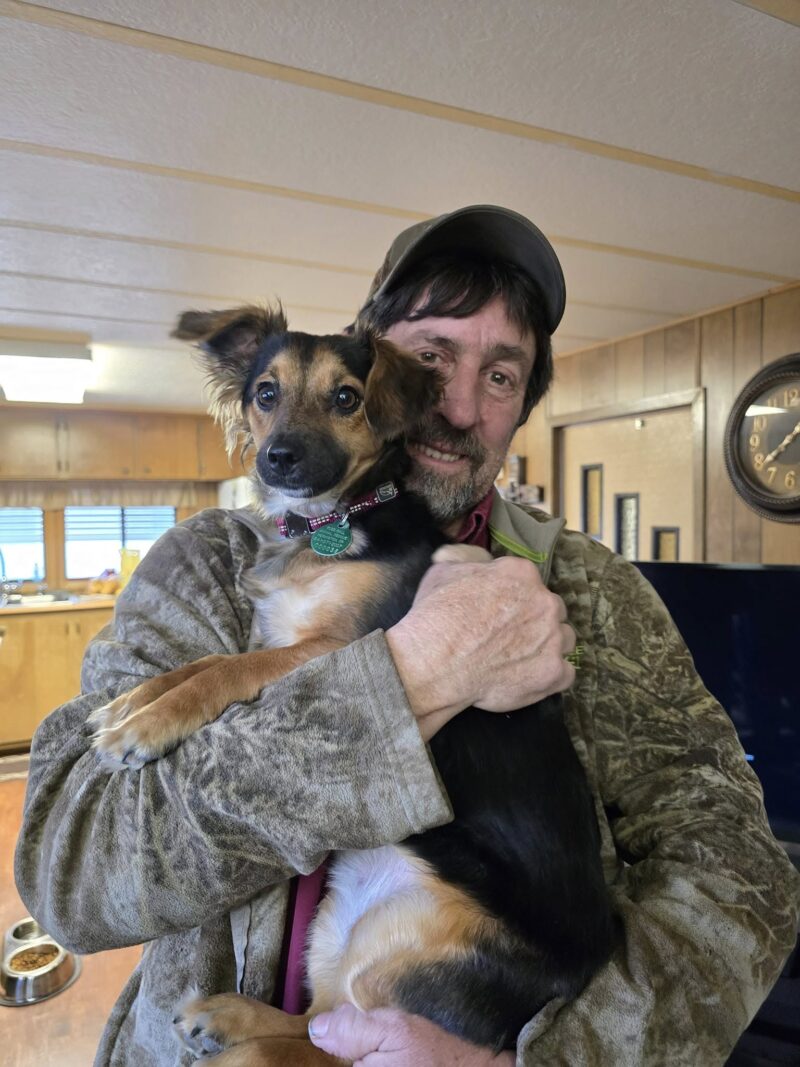 Fuzz Ball Animal Rescue – Rescue the mistreated, Save the injured, Love ...